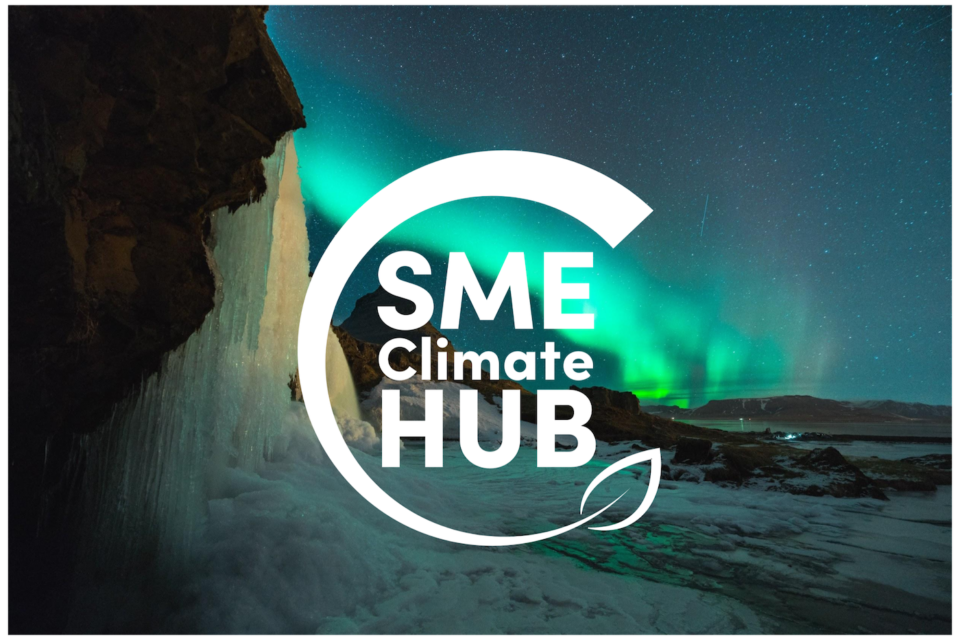SME Climate Hub Launches Climate Action Courses - SME Climate Hub