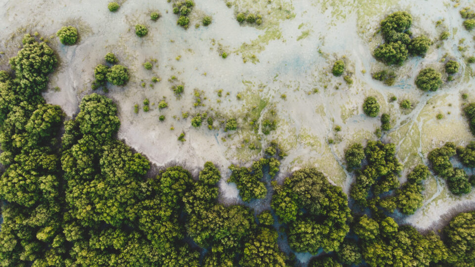 Our partners - SME Climate Hub